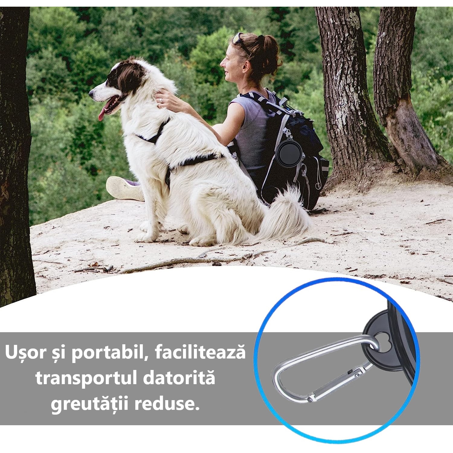 Boluri pliabile de apa si mancare, pentru animale, hranire si hidratare ...