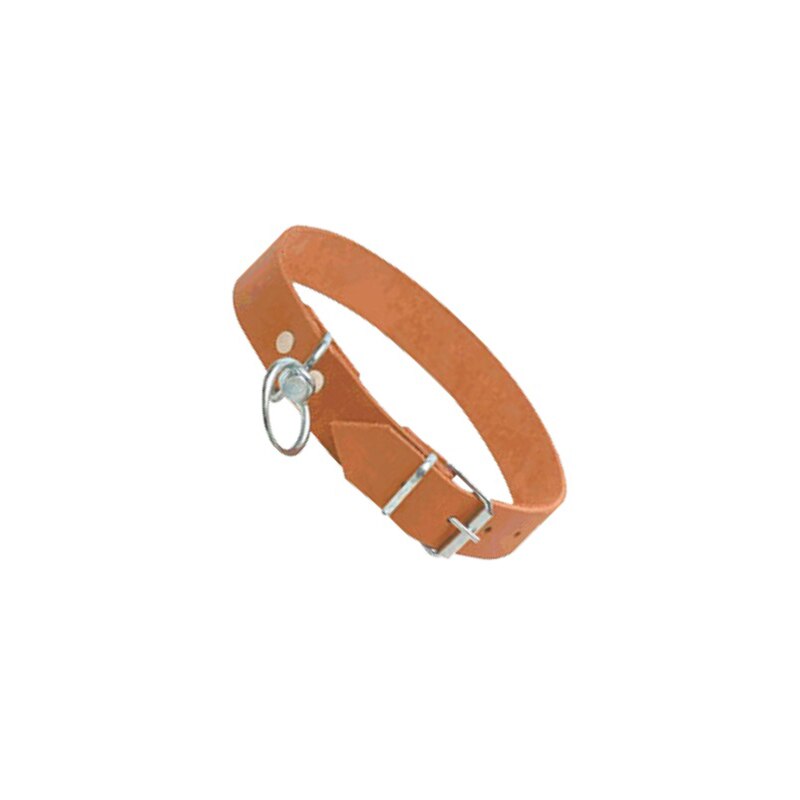 Zgarda caine din piele, nr 1292,3 cm x 60 cm - eMAG.ro