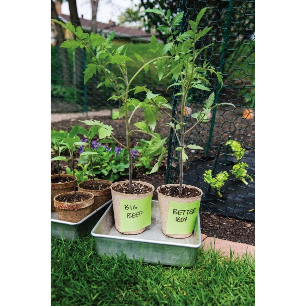 Hartie pentru notite, Post-it, Verde - eMAG.ro