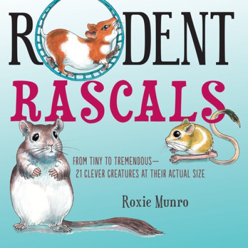 Rodent Rascals: Clever Creatures at Their Actual Size de Roxie Munro ...