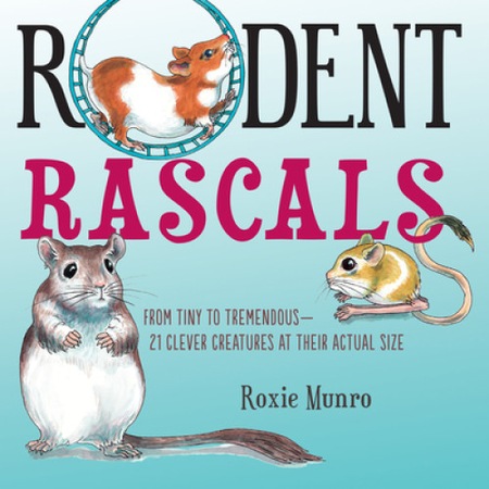 Rodent Rascals: Clever Creatures at Their Actual Size de Roxie Munro ...