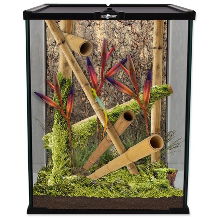 Terariu din sticla 20 x 20 x 30 cm 1 buc - eMAG.ro