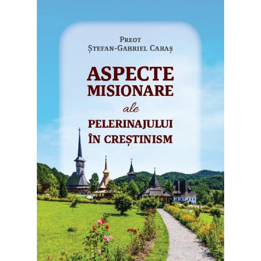 Aspecte Misionare Ale Pelerinajului In Crestinism - Stefan-gabriel ...