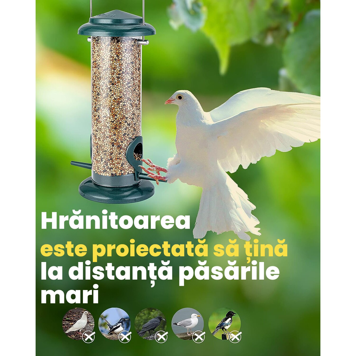Hranitor exterior pentru pasari, rezistent la vant si ploaie, din metal ...