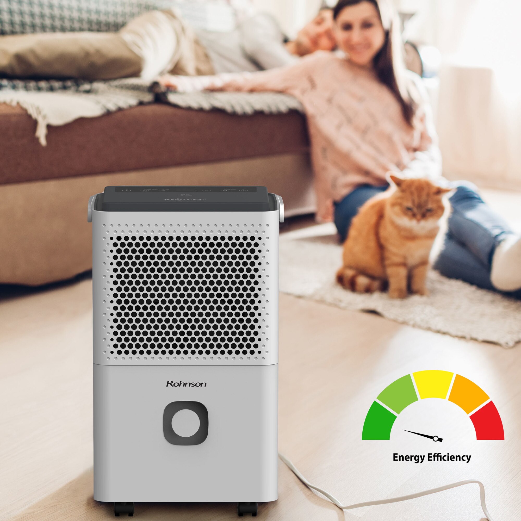 Dezumidificator de aer Rohnson R91312 True Ion & Air Purifier, functie ...