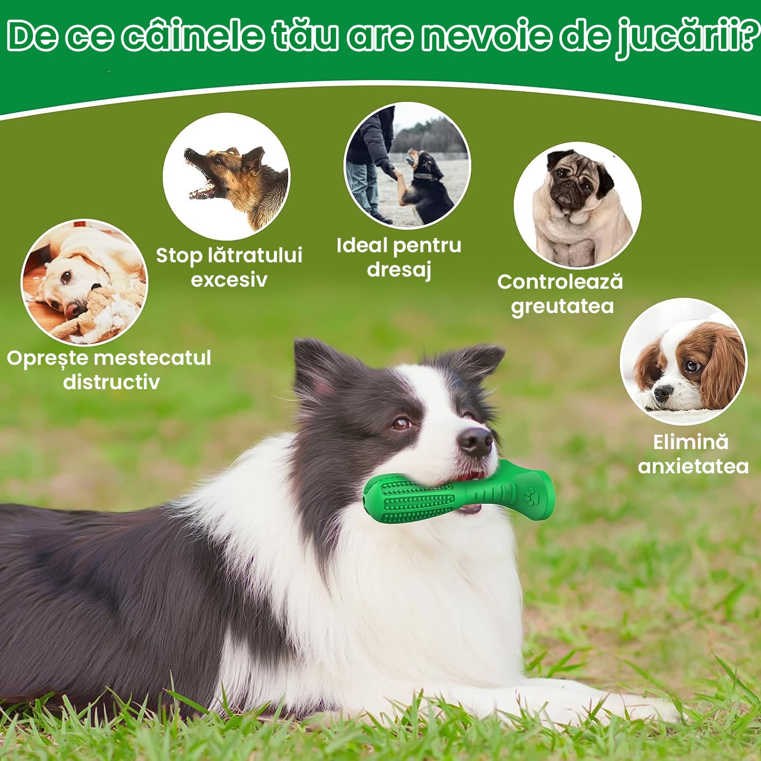 Jucarie interactiva de mestecat pentru caini, curata profund, protectie ...