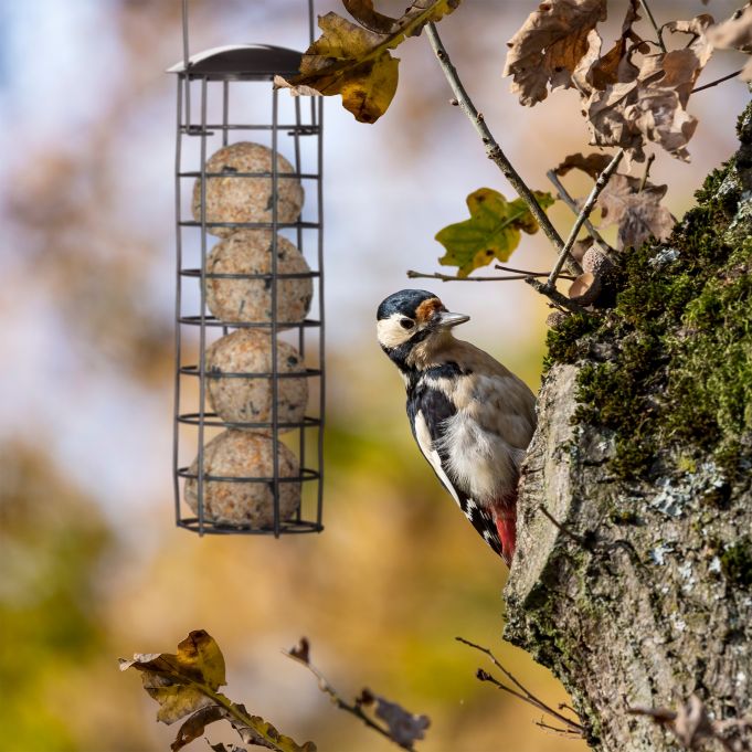 Hranitor pentru pasari, Relaxdays, gri, 31 x 8.5 cm - eMAG.ro