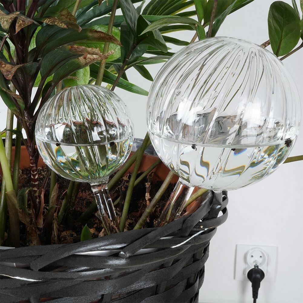 Set 2 bile de udat plante, Vilde, Sticla, Diametru 8/19 cm, 27 cm ...