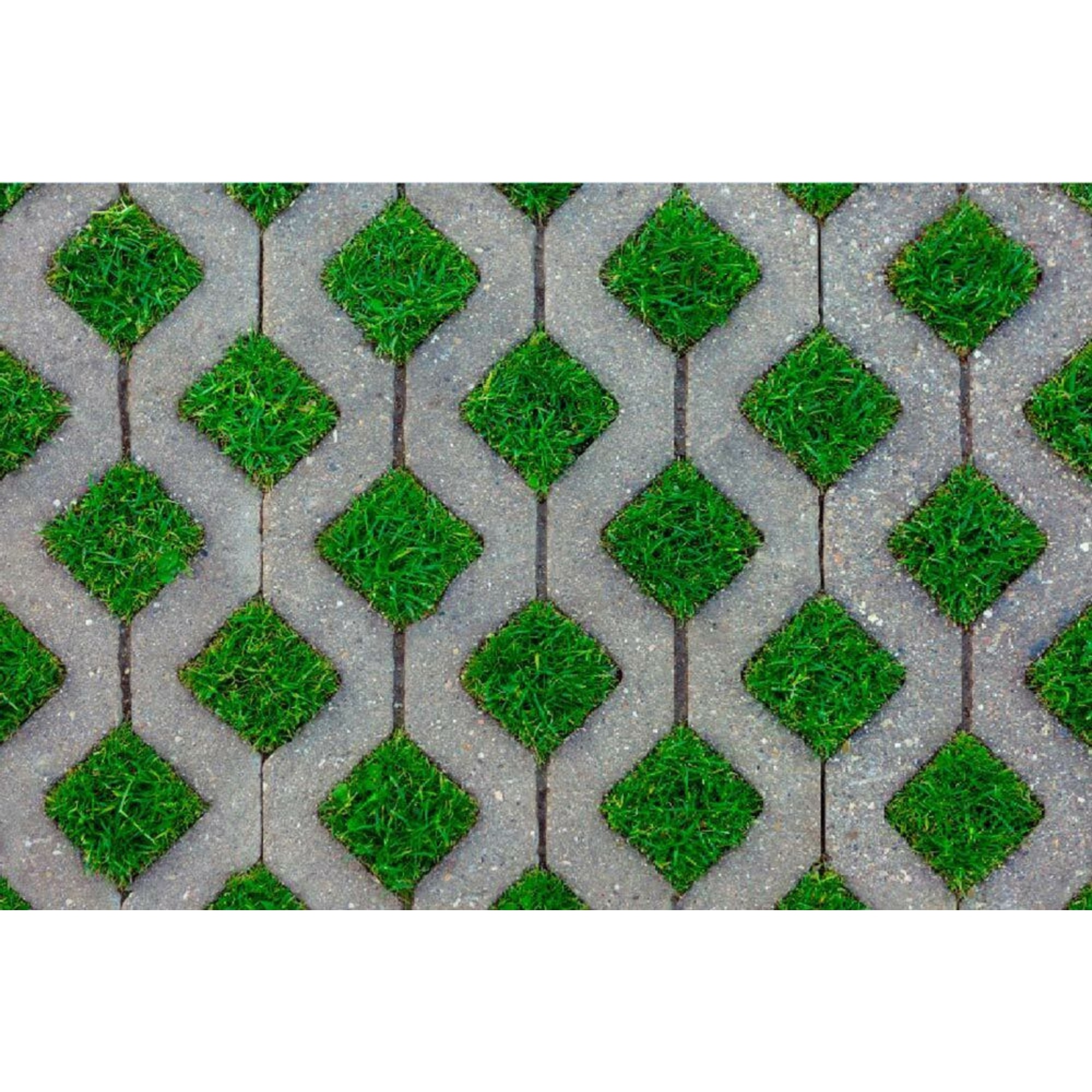 Matrita pavele, model Eco, plastic ABS, negru, 50x50x4cm - eMAG.ro
