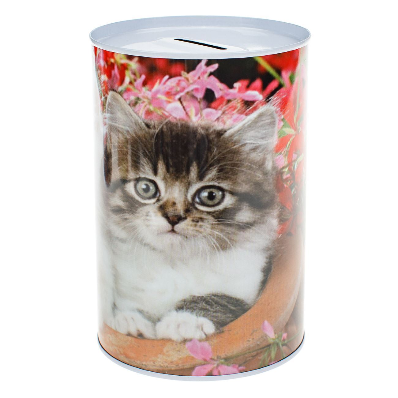 Pusculita Metalica Pisicute 10x15cm - eMAG.ro