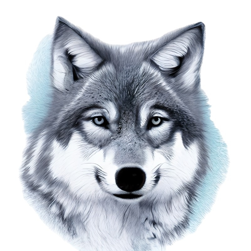 Sticker decorativ, Lup, Gri, 66 cm, 8294ST - eMAG.ro