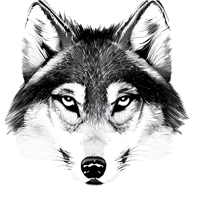 Sticker decorativ, Lup, Negru, 60 cm, 8295ST - eMAG.ro