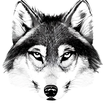 Sticker decorativ, Lup, Negru, 60 cm, 8295ST - eMAG.ro