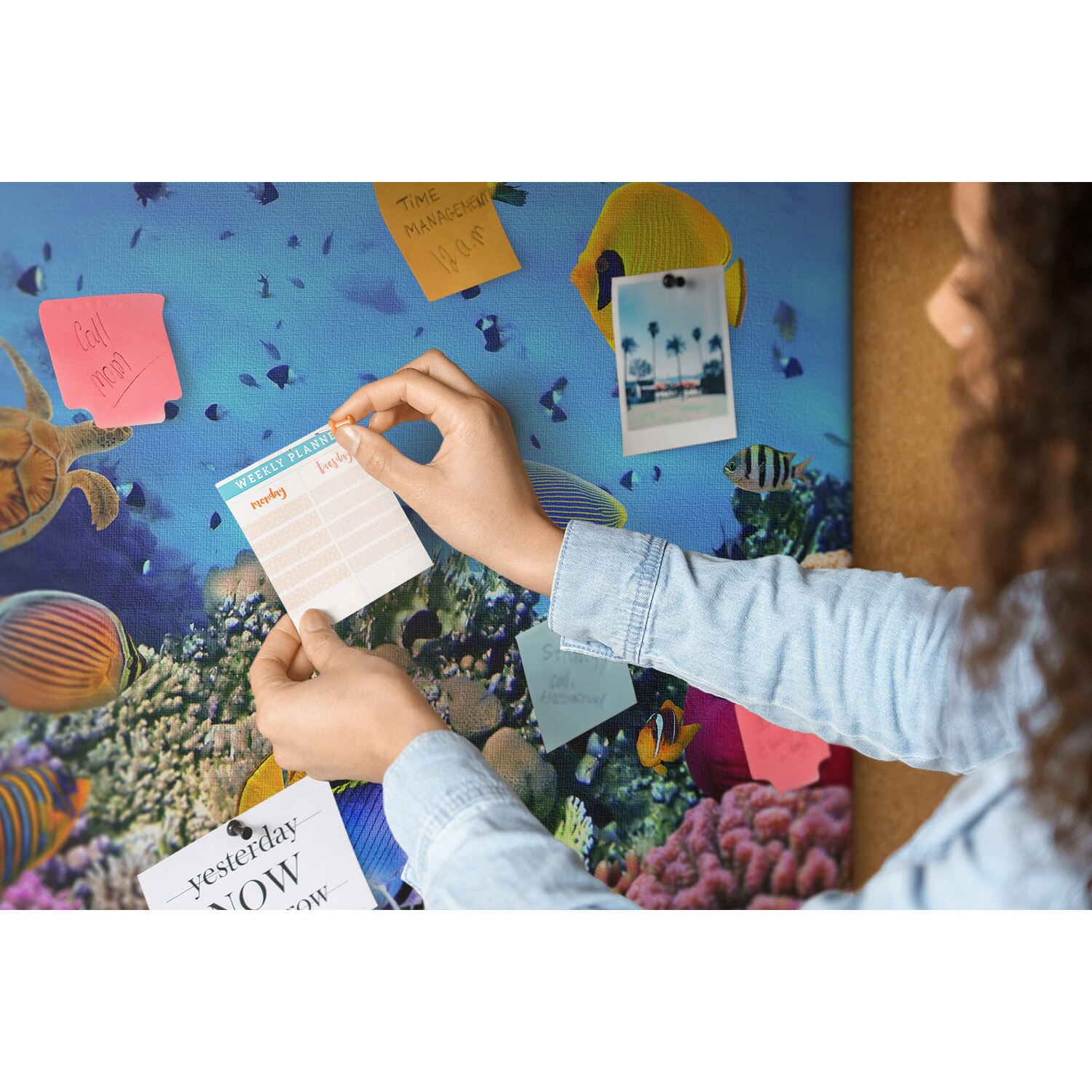 Tabla de pluta, Tulup, Viata subacvatica, Multicolor, 120 cm x 80 cm ...