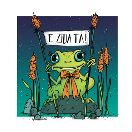 Felicitare aniversare, Broscuta - eMAG.ro