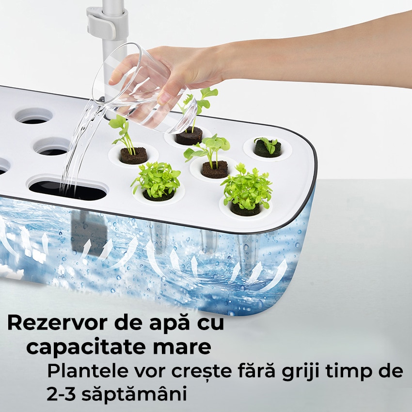 Ghiveci de plante Regal Bliss ®, cu sistem de cultivare hidroponica ...