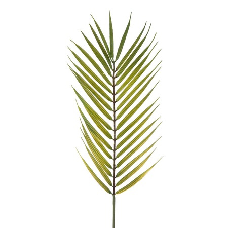 Planta decorativa artificiala, frunza palmier, verde, 75cm - eMAG.ro