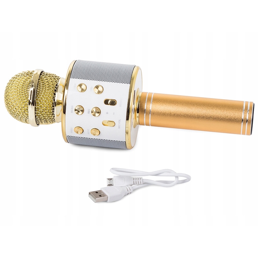 Microfon Wireless Karaoke, Fara Fir, Cu Bluetooth si Boxa Incorporata ...