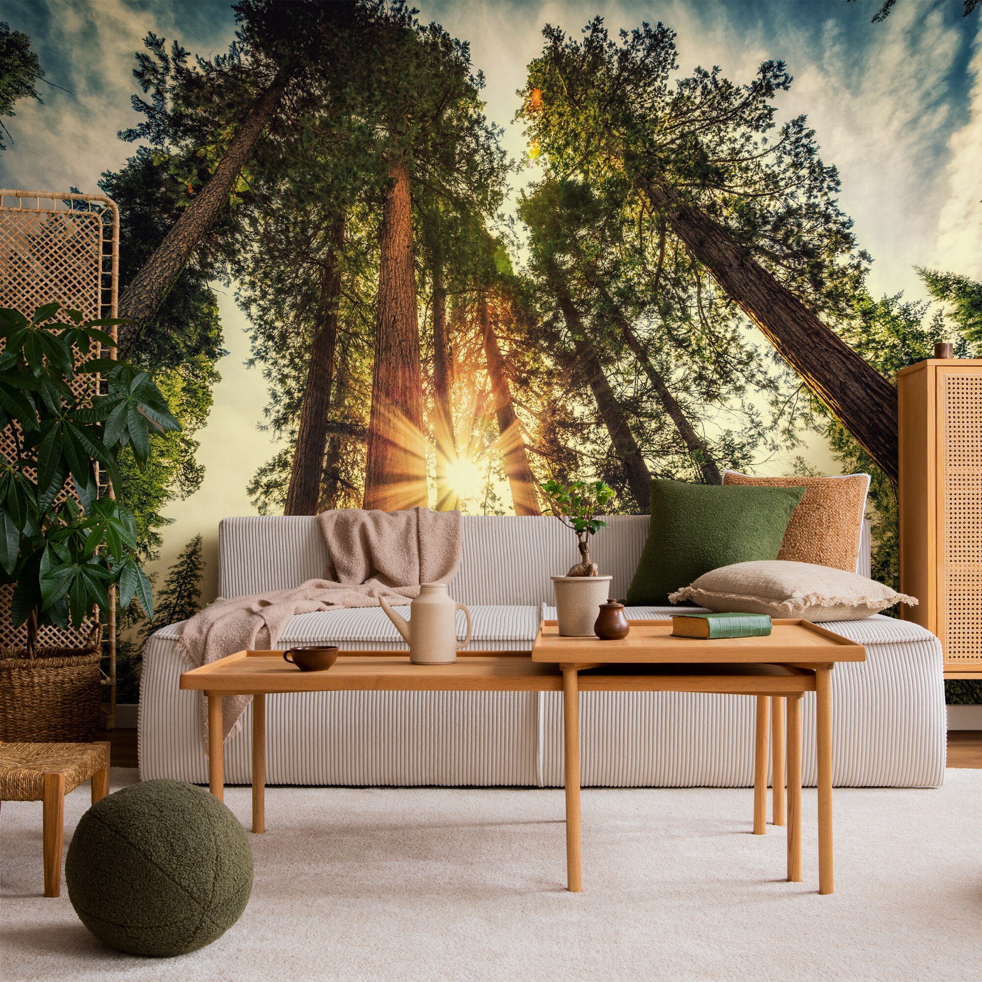 Fototapet peisaj de dimineata pitoreasca de vara, rasarit in padure ...