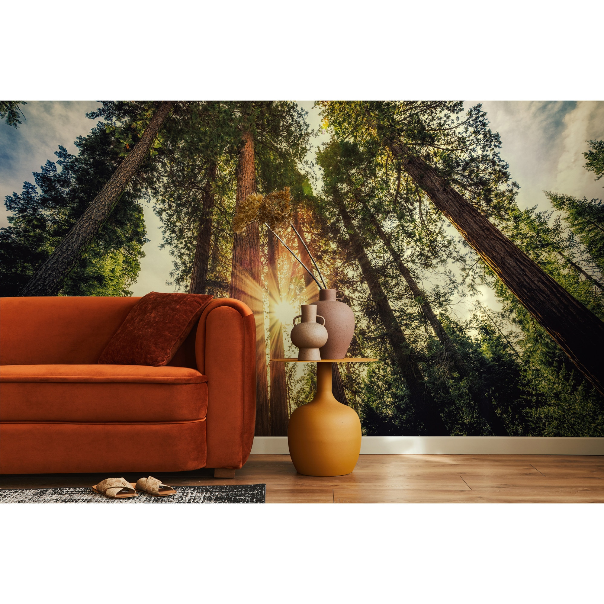 Fototapet peisaj de dimineata pitoreasca de vara, rasarit in padure ...