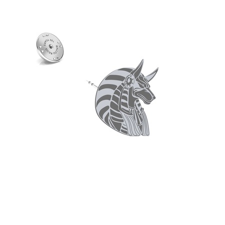 Pin, Radziszewska, Argint, Model Anubis, Argintiu - eMAG.ro