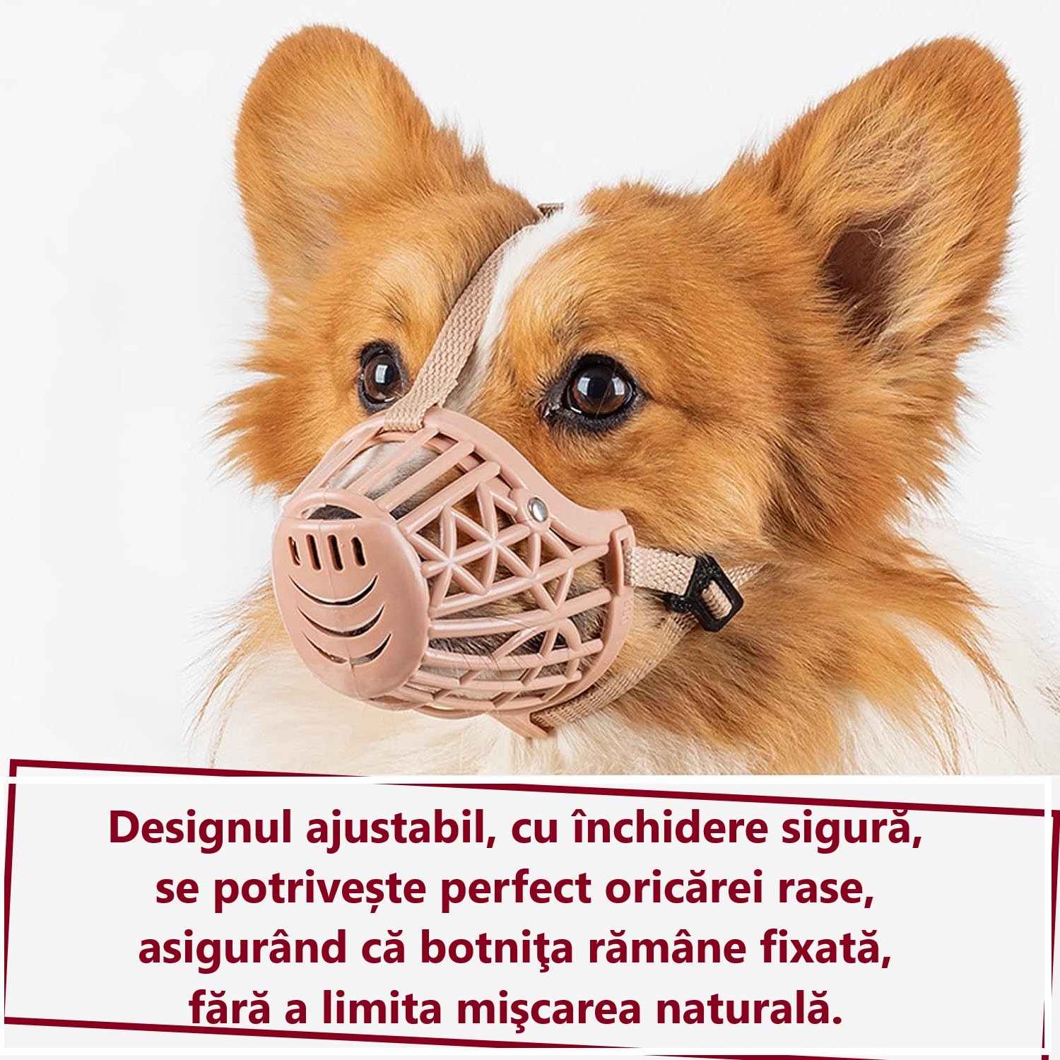 Botnita ajustabila pentru caini din plastic si curele reglabile, ideal ...