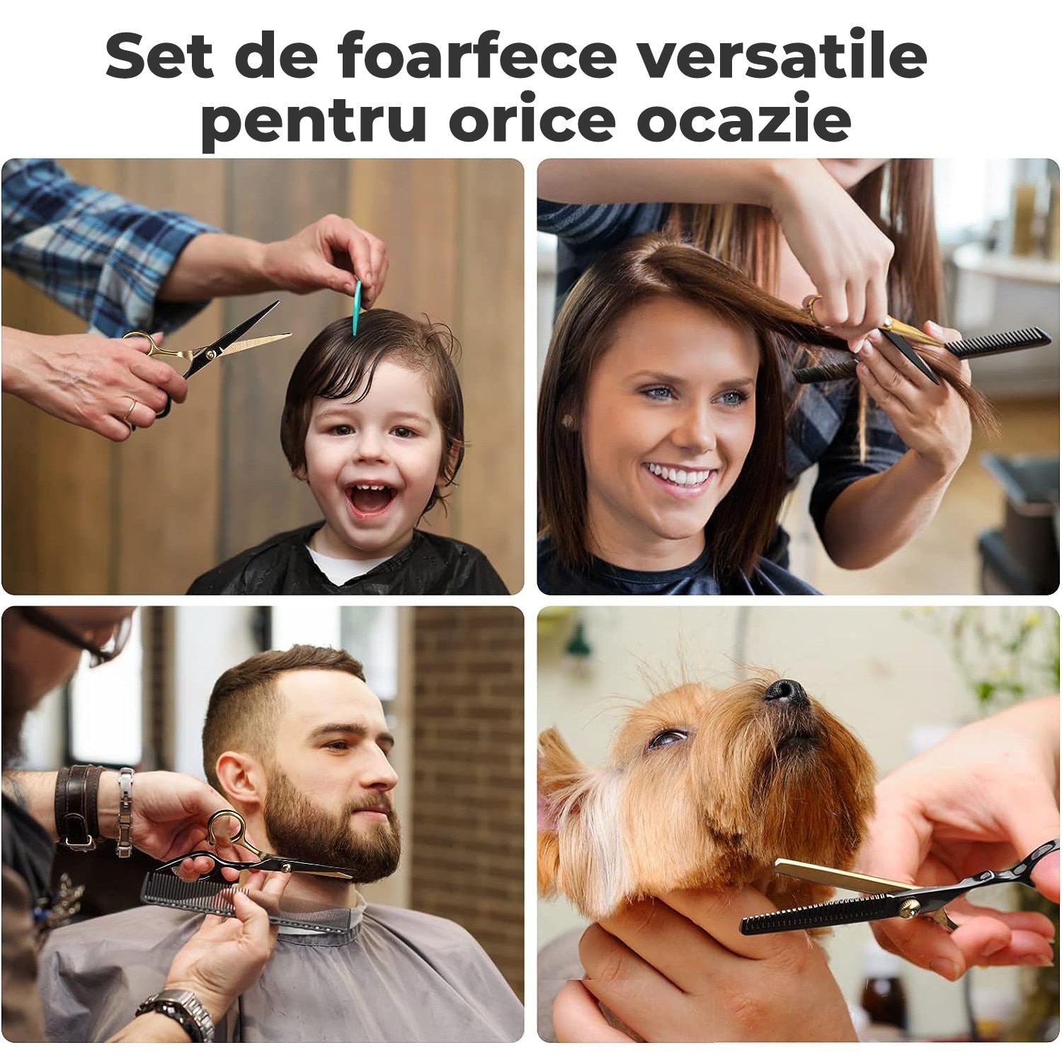 Foarfece profesionale de tuns si filat, Regal Bliss ®, pentru frizerie ...