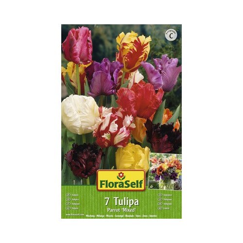 Bulbi lalea creata Parrot Mixed, multicolor, 7 buc - eMAG.ro