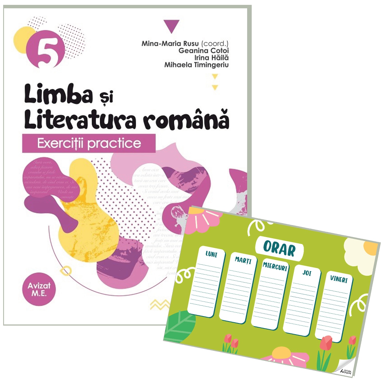 Exercitii practice de limba si literatura romana. Caiet de lucru. Clasa ...