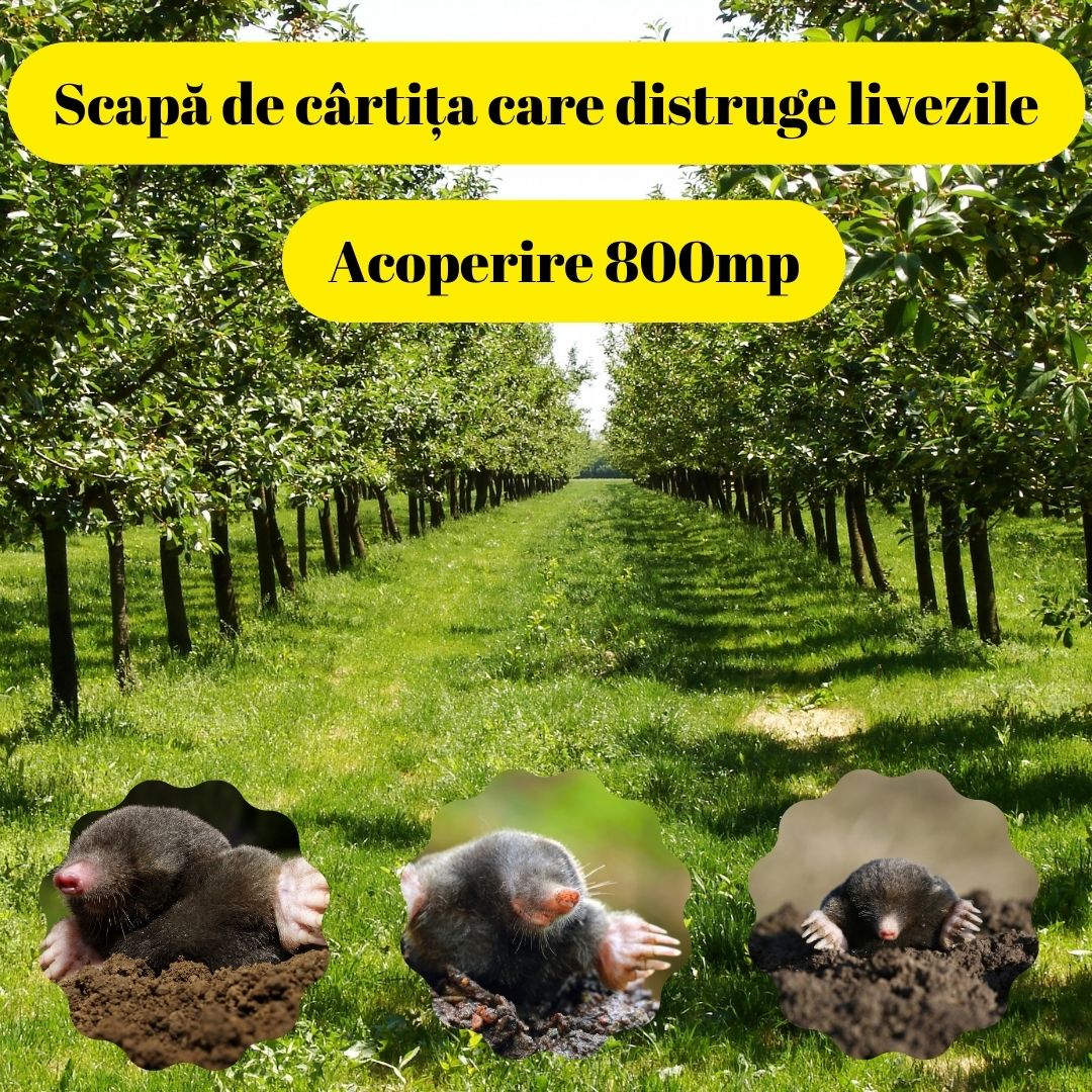 Aparat anti cartite Buha, emite ultrasunete si vibratii, acoperire 800 ...