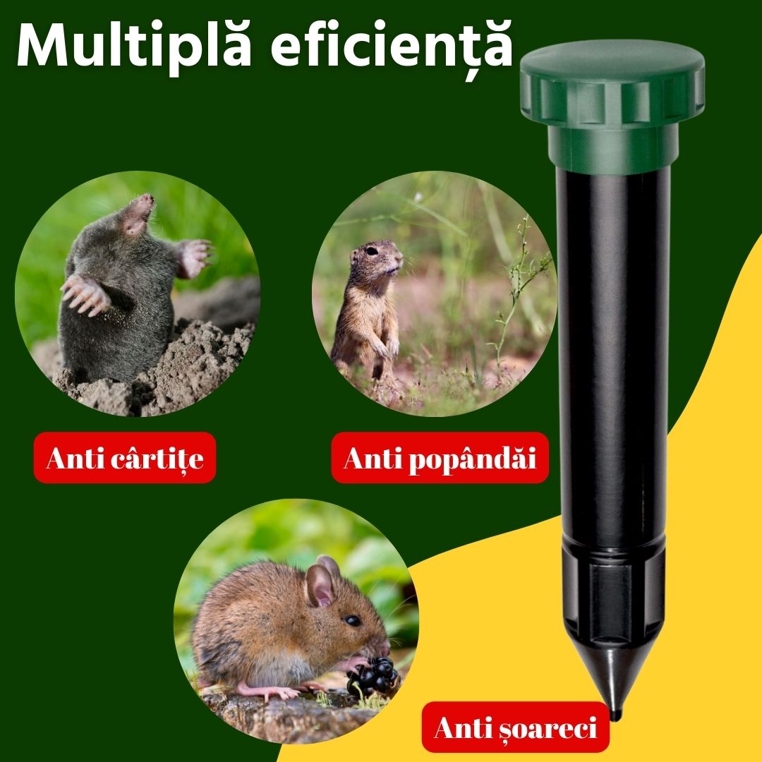 Aparat anti cartite Buha, emite ultrasunete si vibratii, acoperire 800 ...