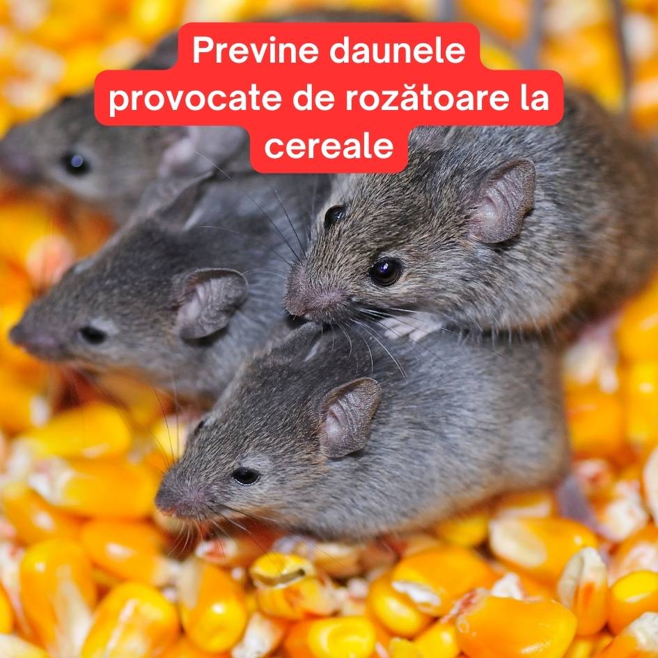 Aparat anti cartite solar, anti rozatoare, acoperire 800 mp2, tija ...