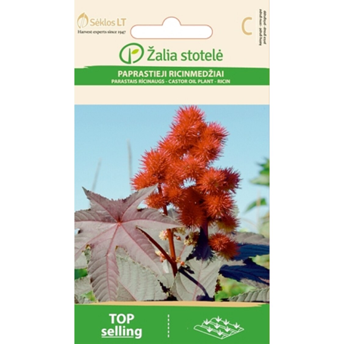 Seminte, Ricin, Žalia Stotelė, plic, 5 buc - eMAG.ro