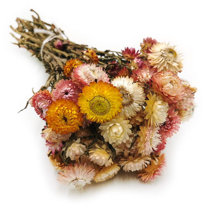 Aranjament uscat, Helichrysum, Mix de culori - eMAG.ro