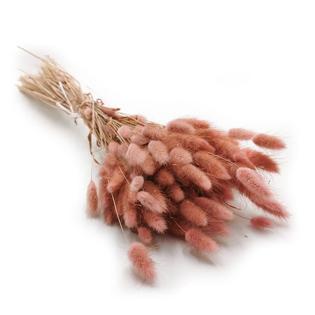 Lagurus uscat - Papadie ovata - roz - eMAG.ro