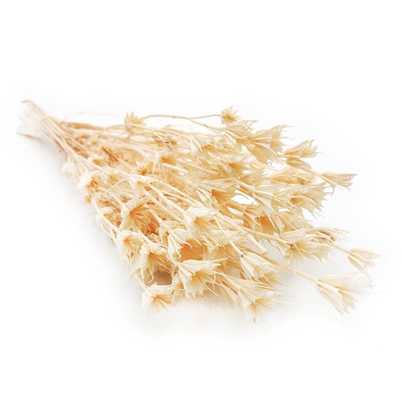 Planta artificiala, Chimen negru oriental, 60 cm, Alb - eMAG.ro