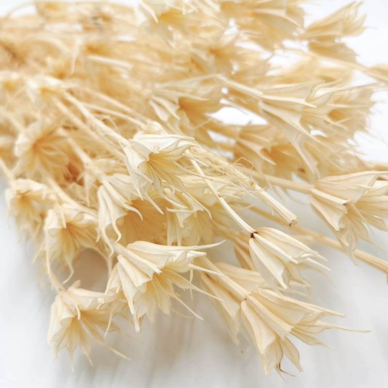 Planta artificiala, Chimen negru oriental, 60 cm, Alb - eMAG.ro