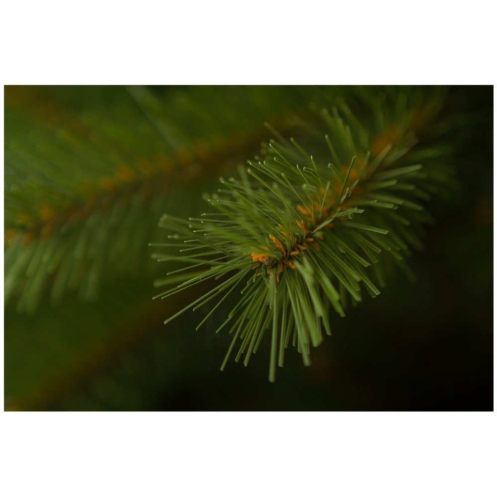 Brad artificial Caucazian Spruce, PVC, 250 cm, verde - eMAG.ro
