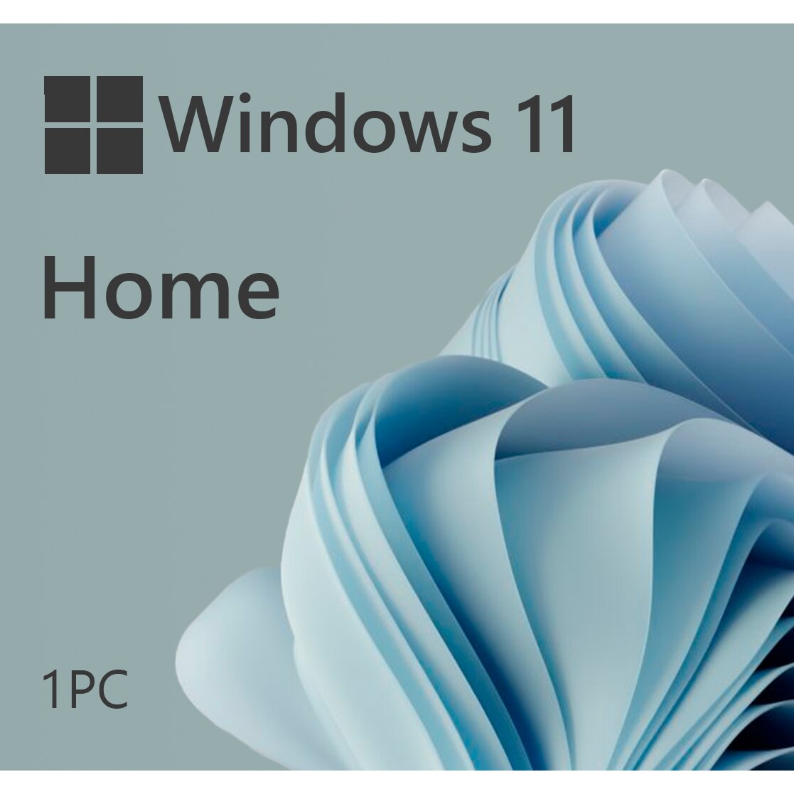 Licenta Microsoft Windows 11 Home, USB, Versiune Retail, 1 Utilizator ...