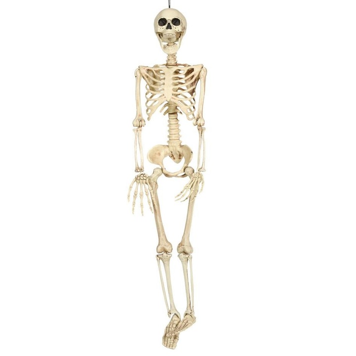 Decoratiune Halloween, Schelet uman, Fiestas Guirca, Alb - eMAG.ro