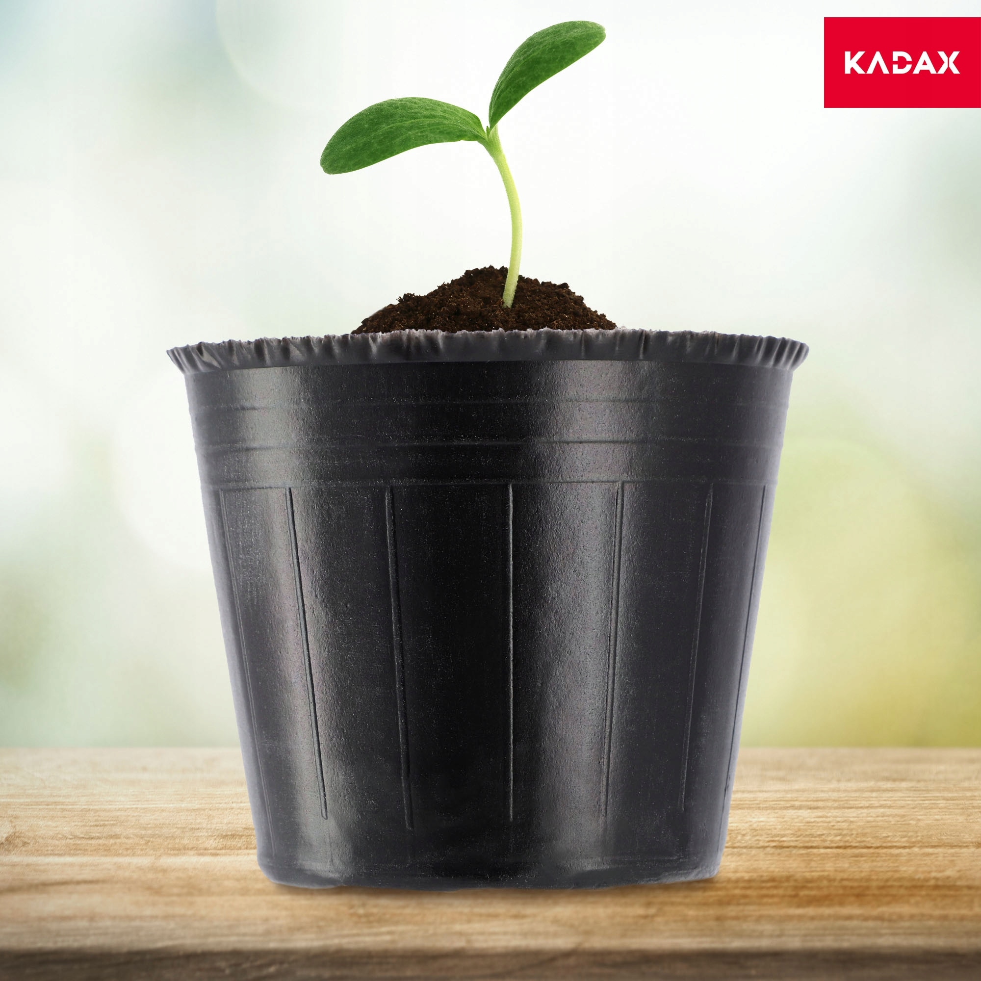 Set 100 ghivece de productie pentru rasaduri, Negru, 9 cm - eMAG.ro