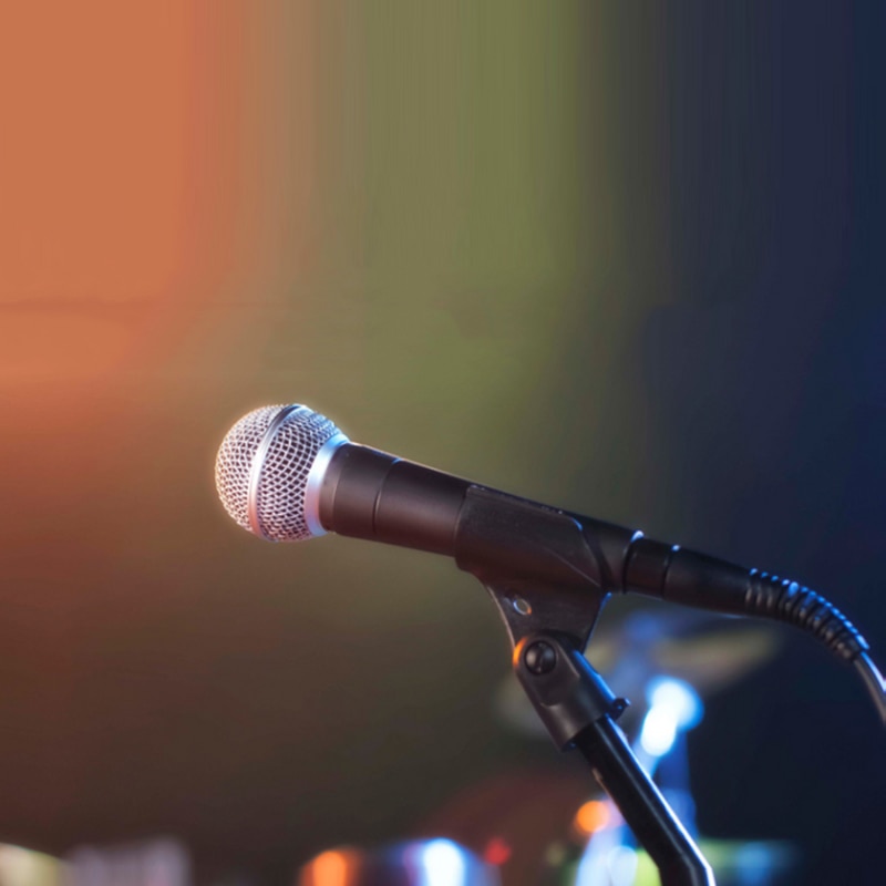 Microfon Profesional cu Fir VENTART, Cardioid, Dinamic, Karaoke, Live ...