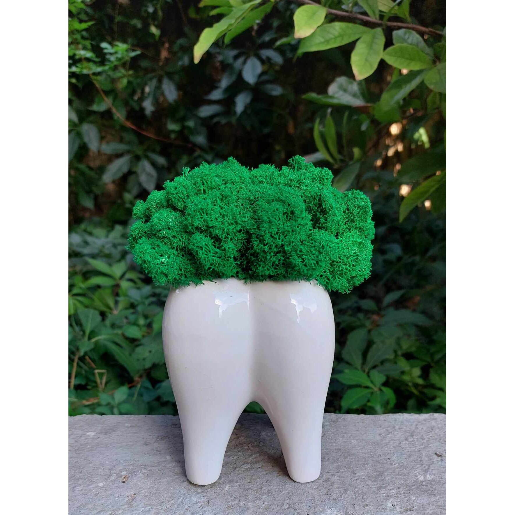 Aranjament, dinte molar ceramica, cu licheni stabilizati, H17 cm - eMAG.ro