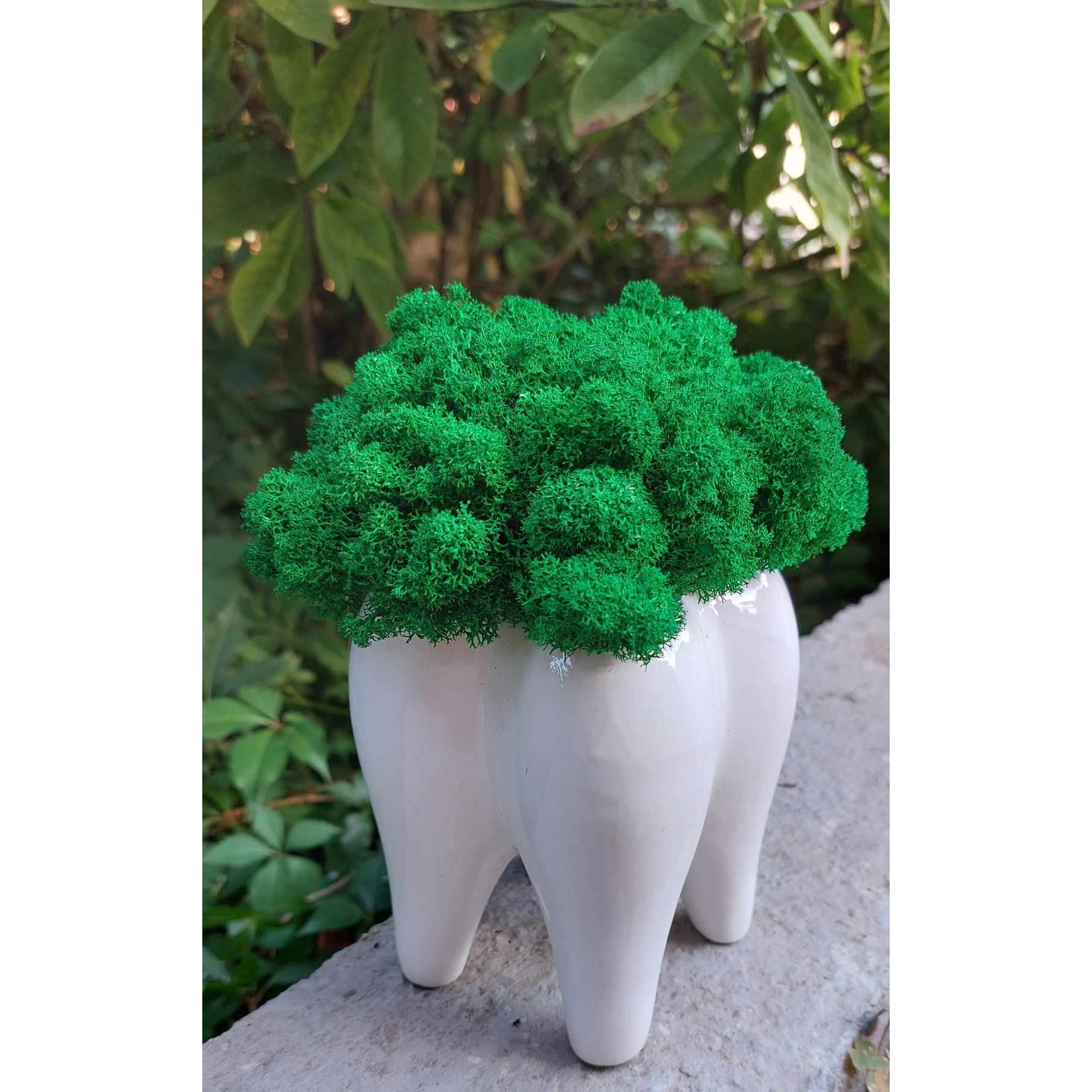 Aranjament, dinte molar ceramica, cu licheni stabilizati, H17 cm - eMAG.ro