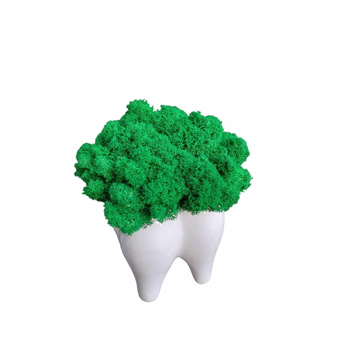 Aranjament, dinte molar ceramica, cu licheni stabilizati, H17 cm - eMAG.ro