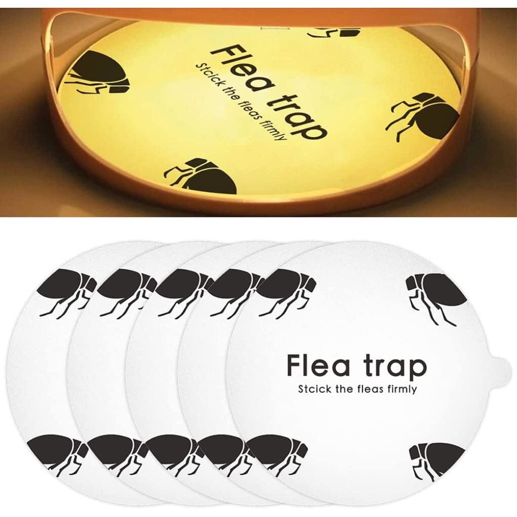 Autocolante pentru capcane pentru purici Sunmostar, 5 buc - eMAG.ro