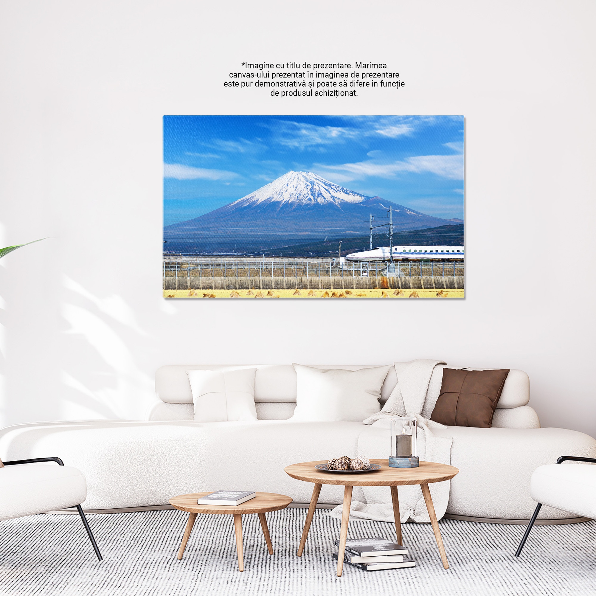 Tablou Canvas - Trenuri rapide si muntele Fuji: tourism, bullet train ...