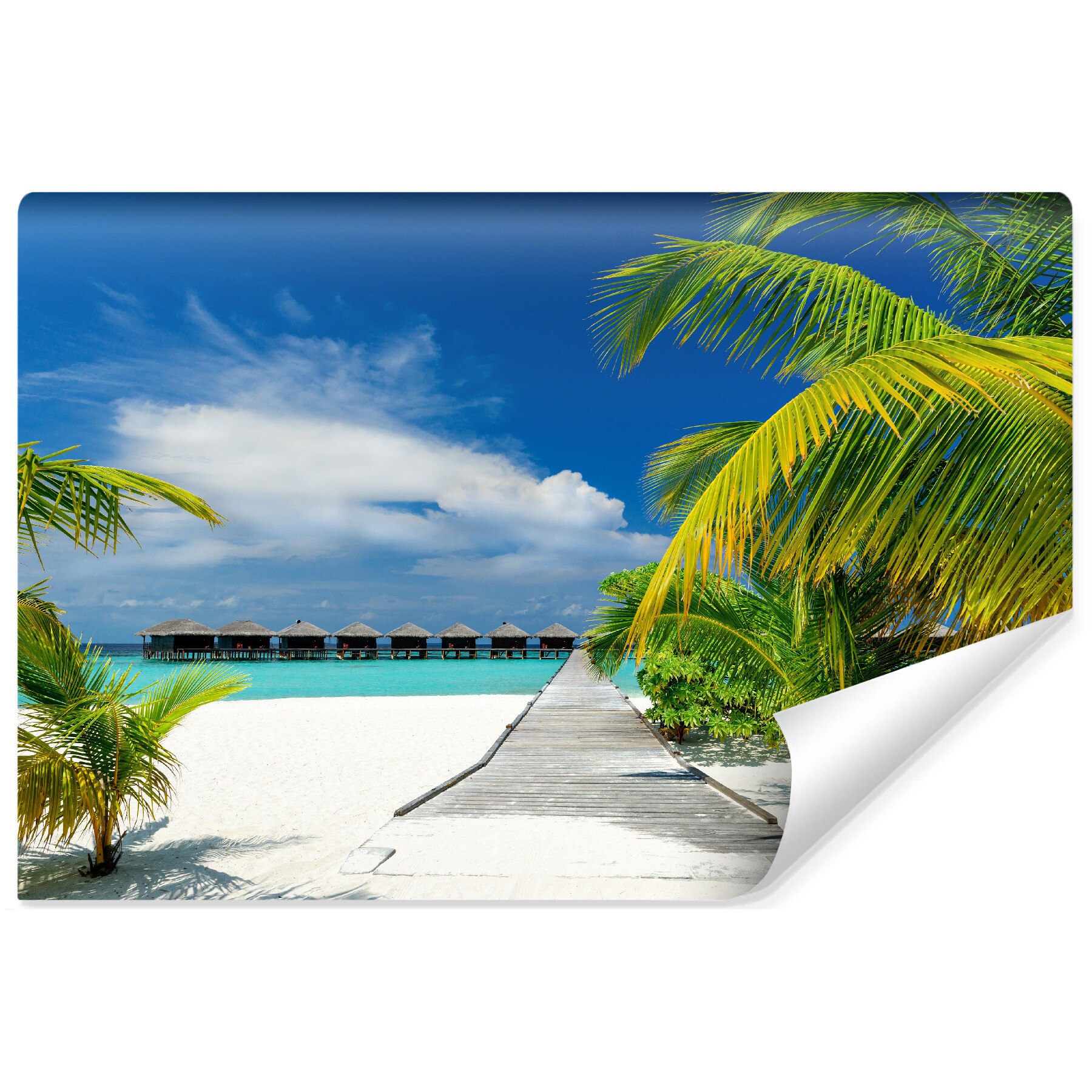 Fototapet decor de perete cu vedere la tarile calde, palmieri, design ...