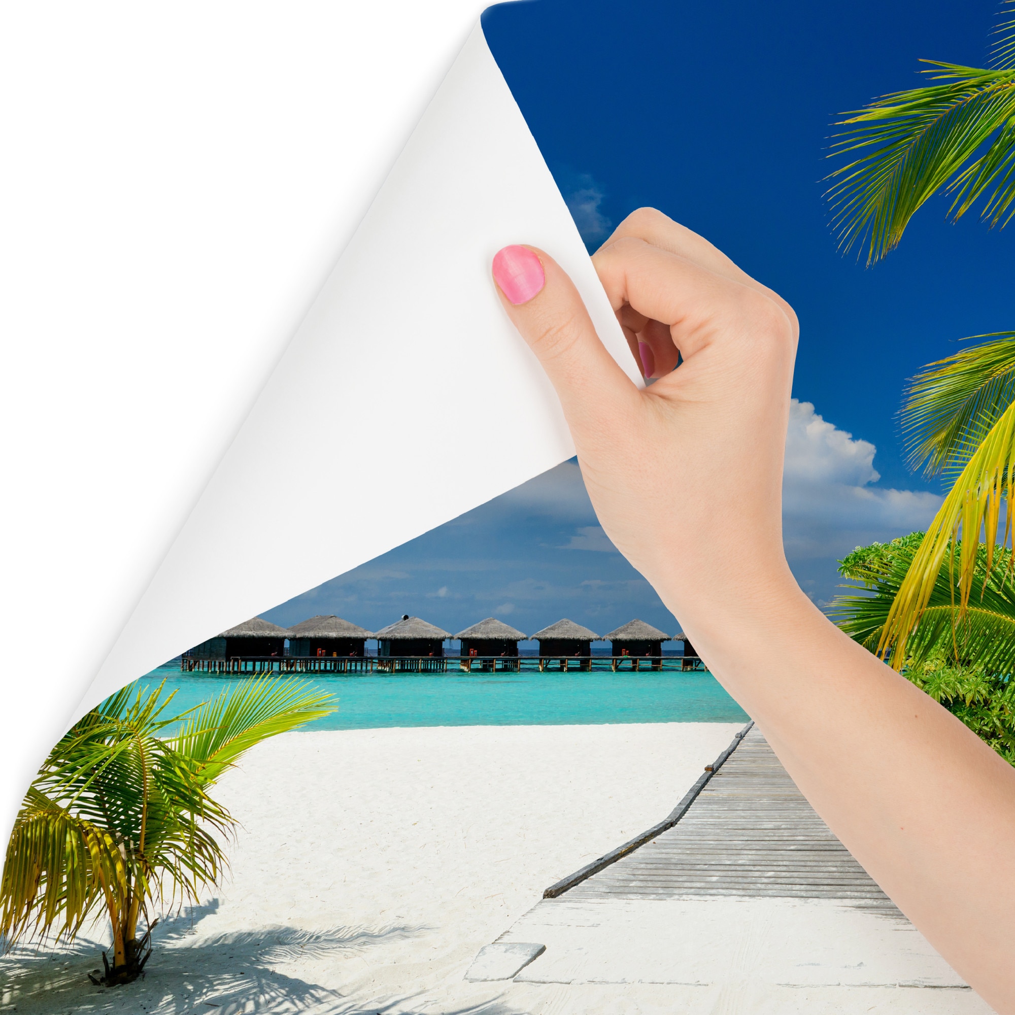 Fototapet decor de perete cu vedere la tarile calde, palmieri, design ...