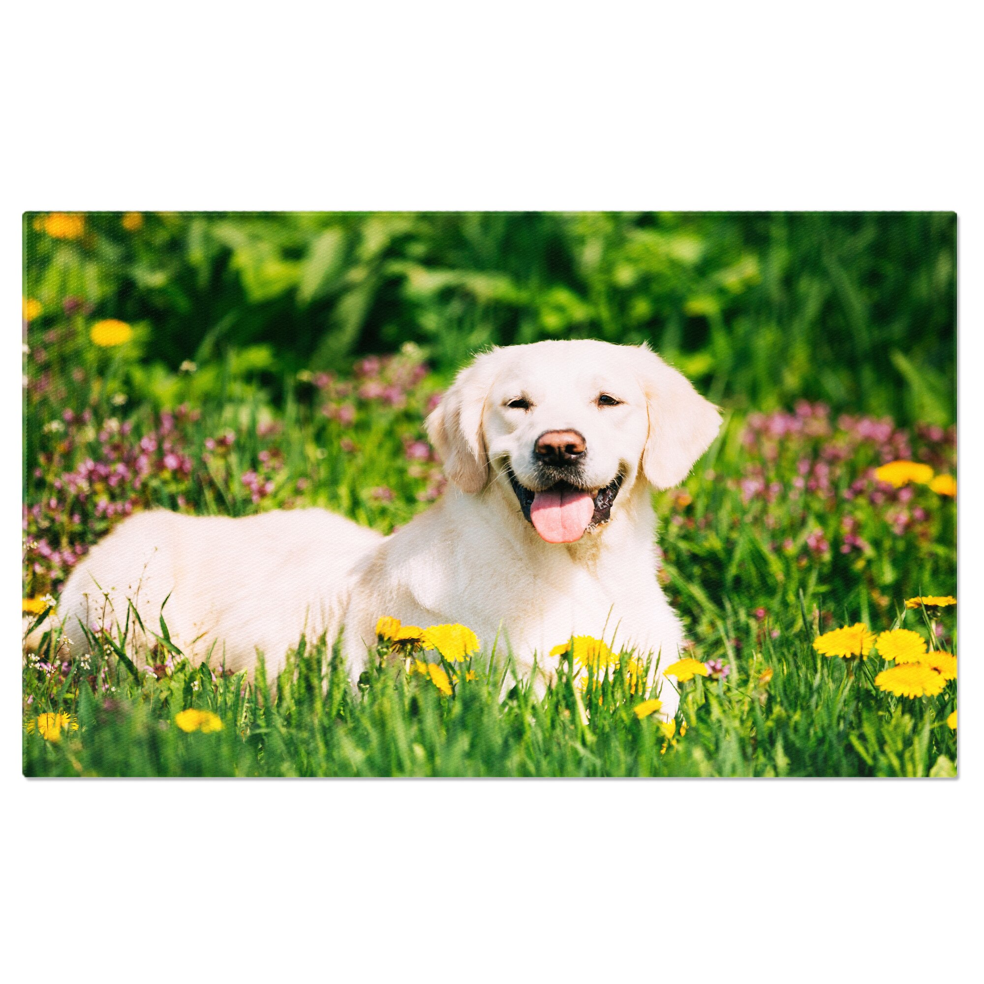 Vászonfestő kutya pitypang virággal, gyönyörű fajta, boldog zöld fűvel ...